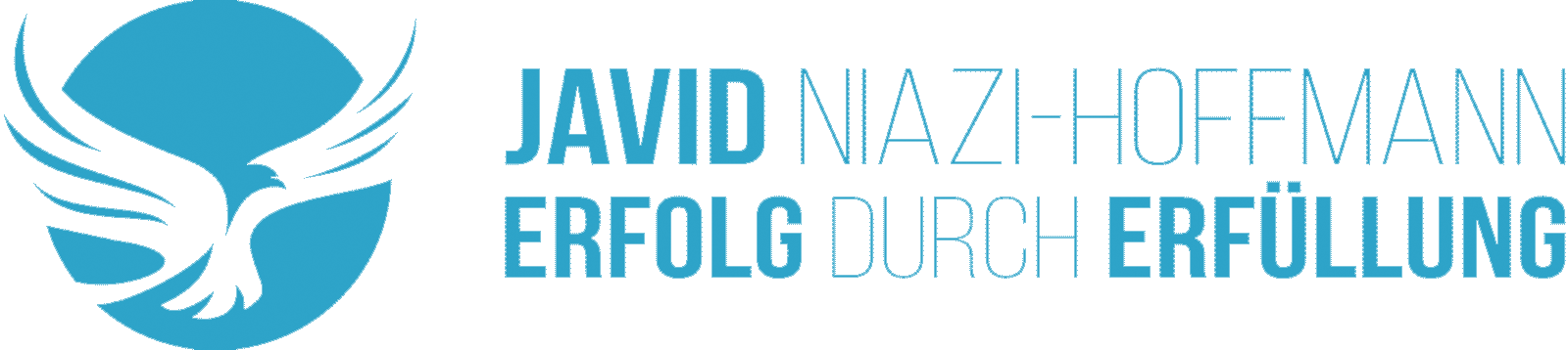 Das Team - Javid Niazi-Hoffmann